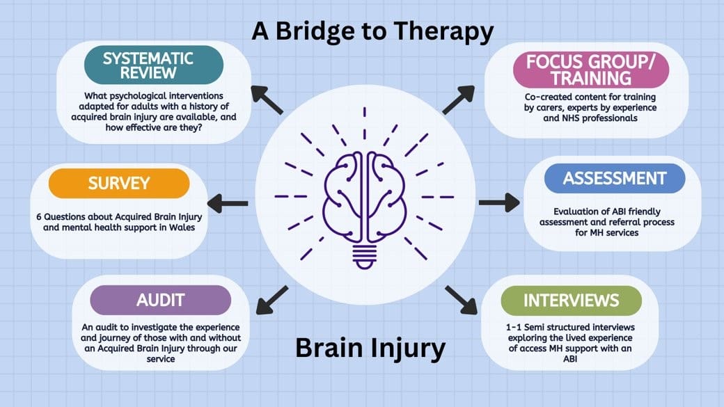 A Bridge to Therapy – Brain Injury - Bevan Commission