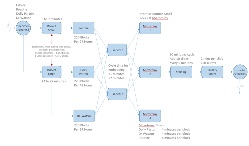 Optimising Cellular Pathology Workflow to Improve Sustainability and ...