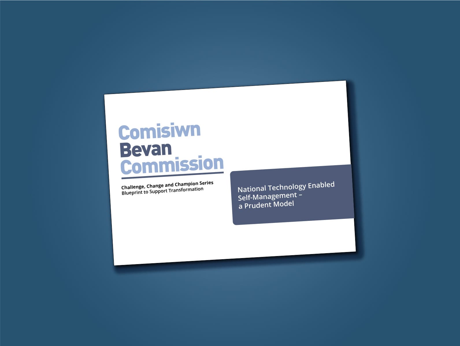 Guide to Success: National Technology Enabled Self-Management – a ...