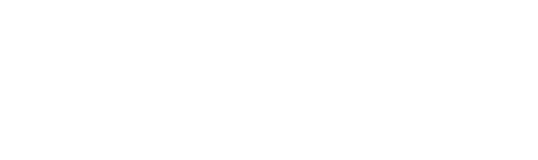 National Peer Support Service (EPP Cymru) - Bevan Commission