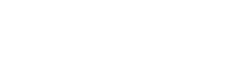 National Peer Support Service (EPP Cymru) - Bevan Commission