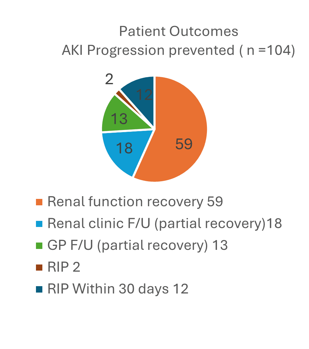 A Novel Approach to Acute Kidney Injury Management in a District ...